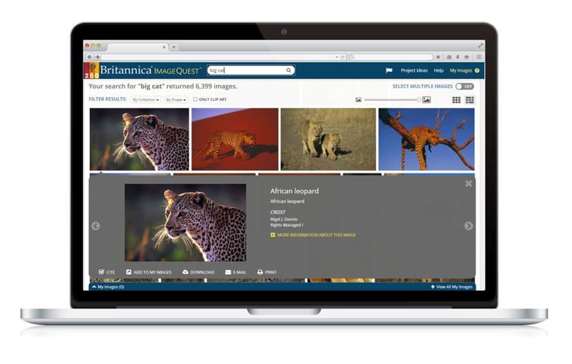 Britannica ImageQuest | Reviews 2026: Features, Price, Alternatives