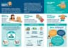 DESTY Island Emotional Resilience Programme | Reviews 2026: Features ...