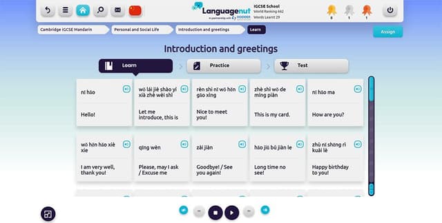 Languagenut | Reviews 2025: Features, Price, Alternatives