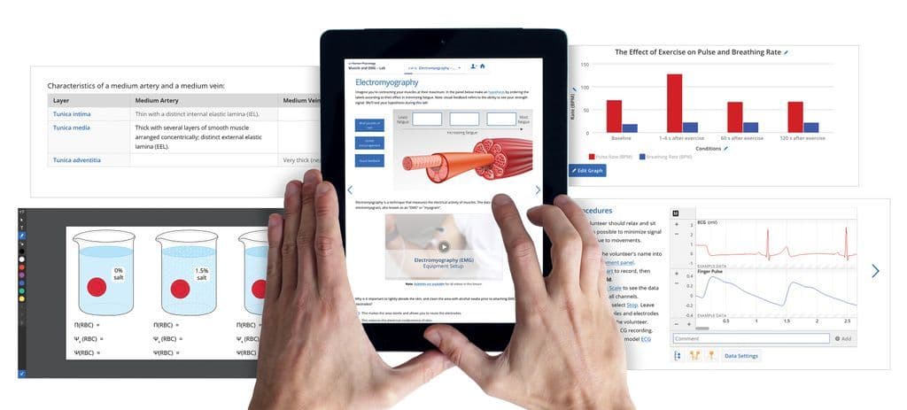 Lt | Reviews 2026: Features, Price, Alternatives