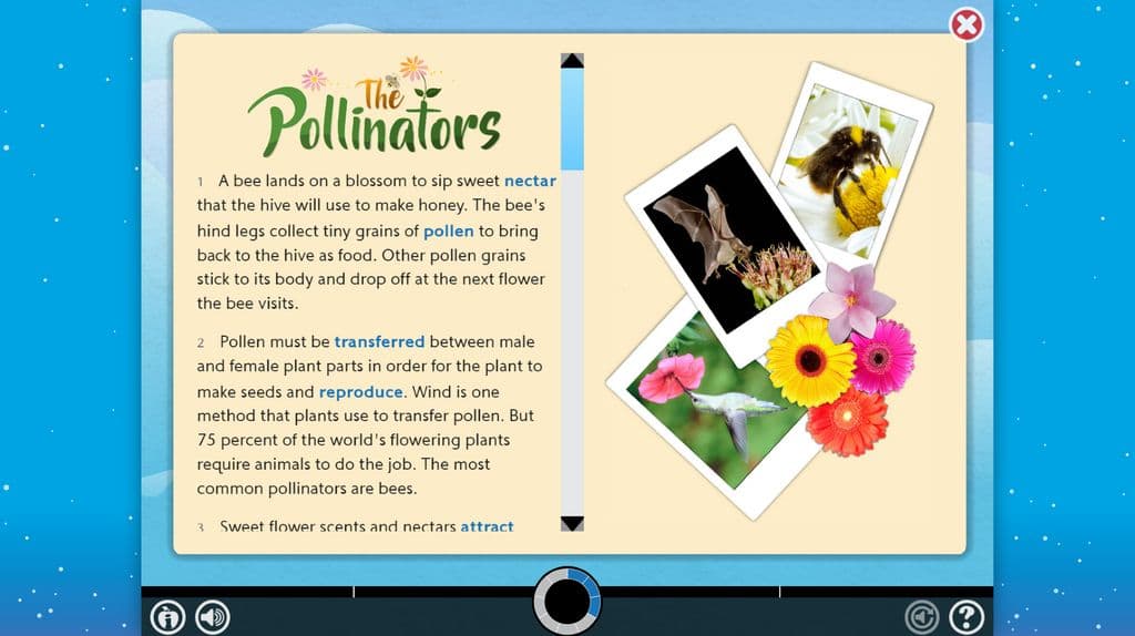 Lexia Reading Skills Software | Reviews 2025: Features, Price, Alternatives