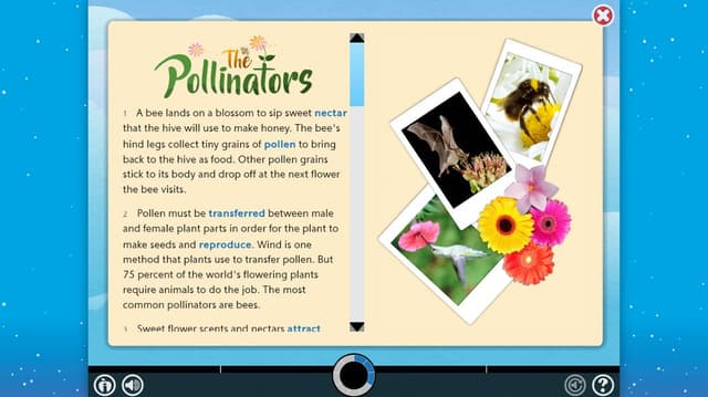 Lexia Reading Skills Software | Reviews 2026: Features, Price, Alternatives